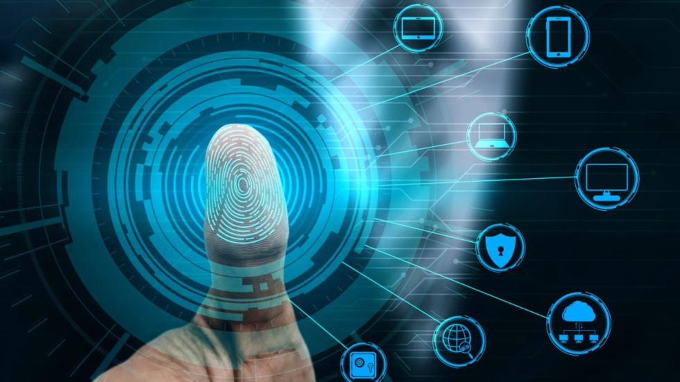 The Role of Biometrics in Visa Processing: What You Need to Know ...